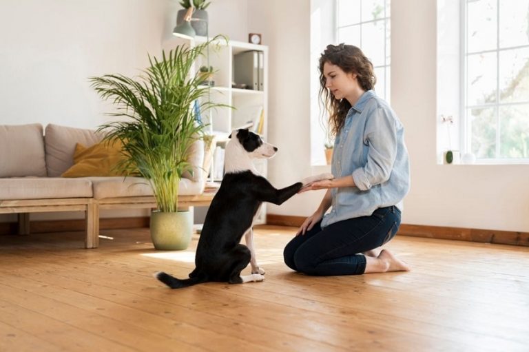 El luring Todos sus beneficios e inconvenientes | Descúbrelos aquí